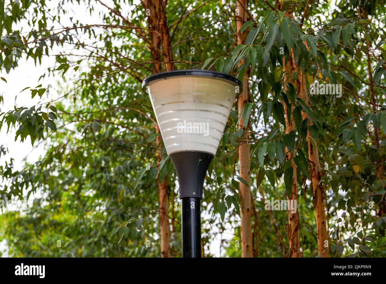 Close-up of white glass street light in the park Stock Photo - Alamy