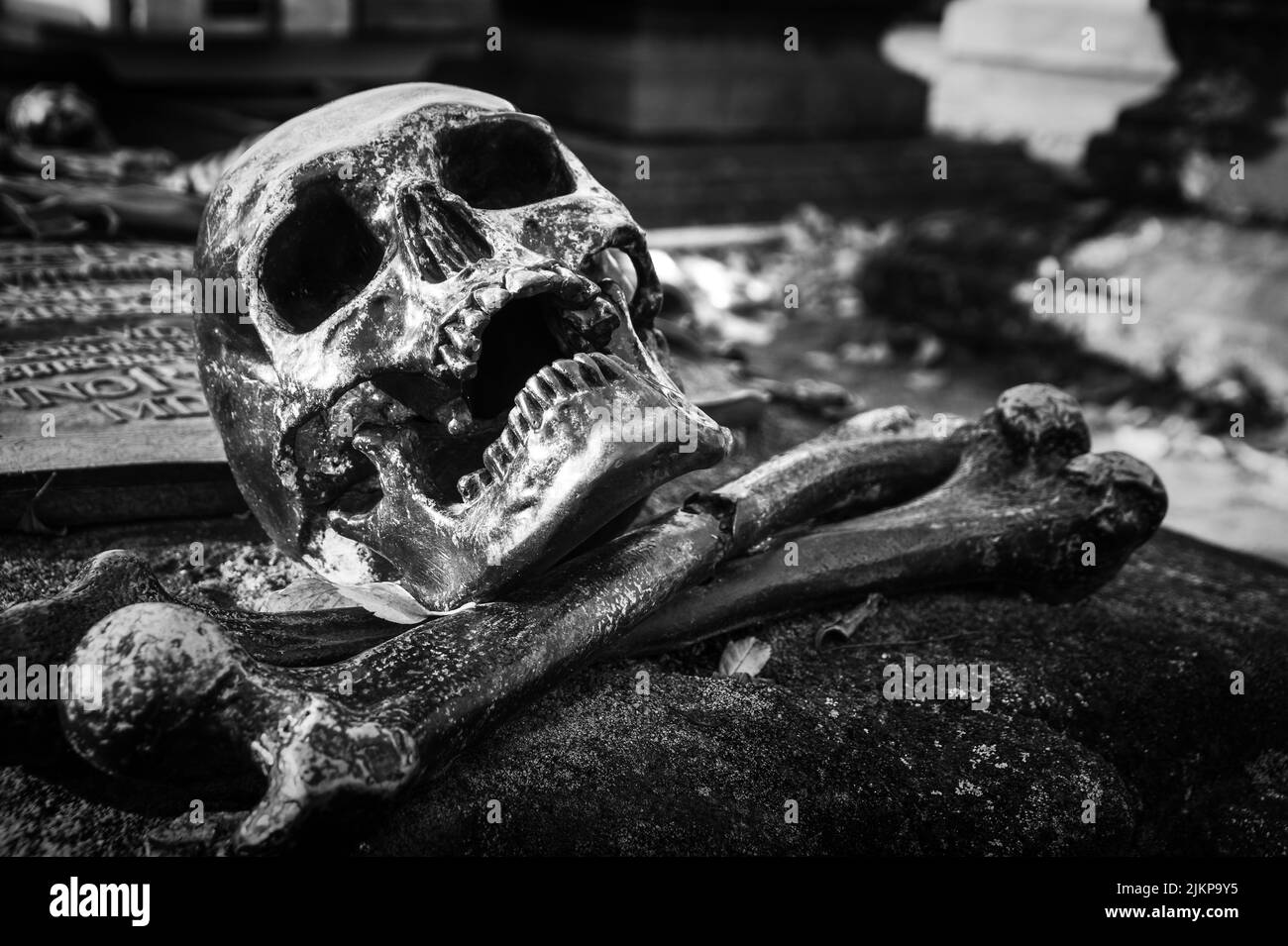 A black and white shot of a skull and bones of a person on the ground ...
