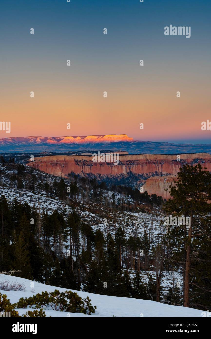 A vertical shot of a scenic plateau with alpine trees in winter Stock ...