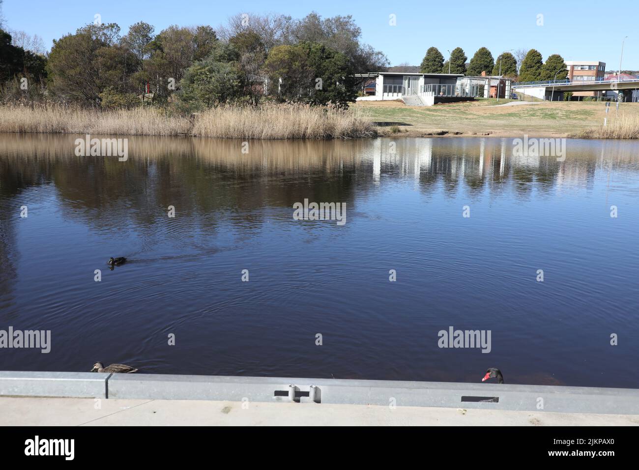 Reflection in the Queanbeyan River in Queanbeyan Stock Photo - Alamy