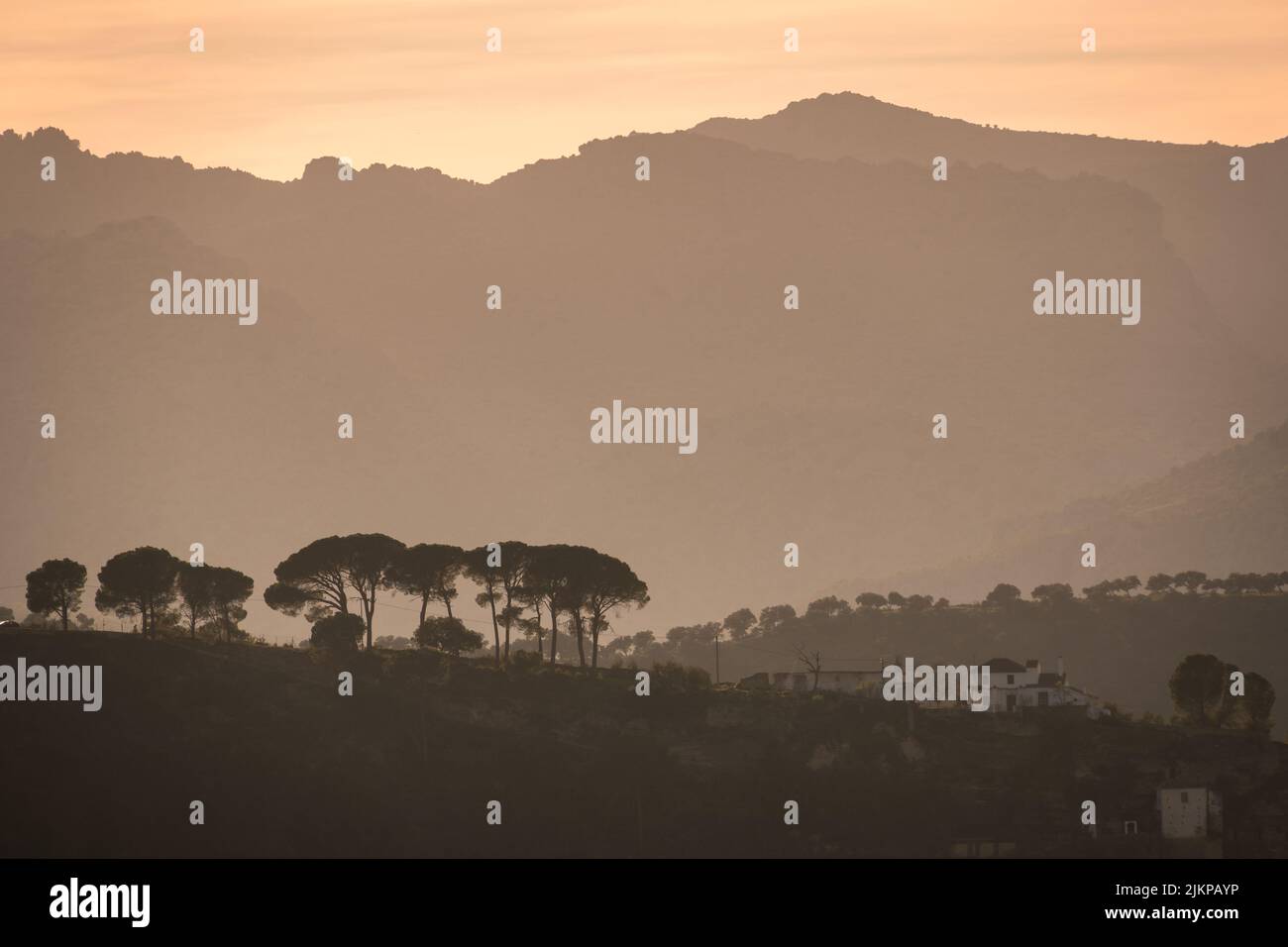 A mesmerizing view of trees on the hill with mountains in the ...