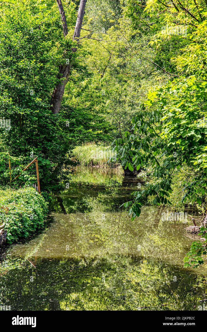 Moor biotop hi-res stock photography and images - Alamy