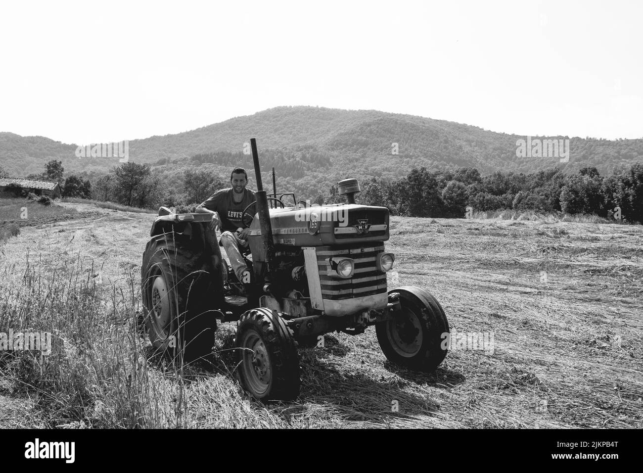 Massey Ferguson 165 Ebro, red old and strong tractor working Stock ...