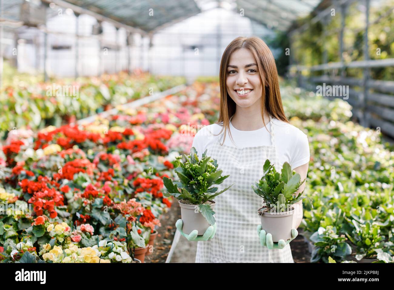 Woman holds a pot of flowers in her hands, growing plants for sale ...