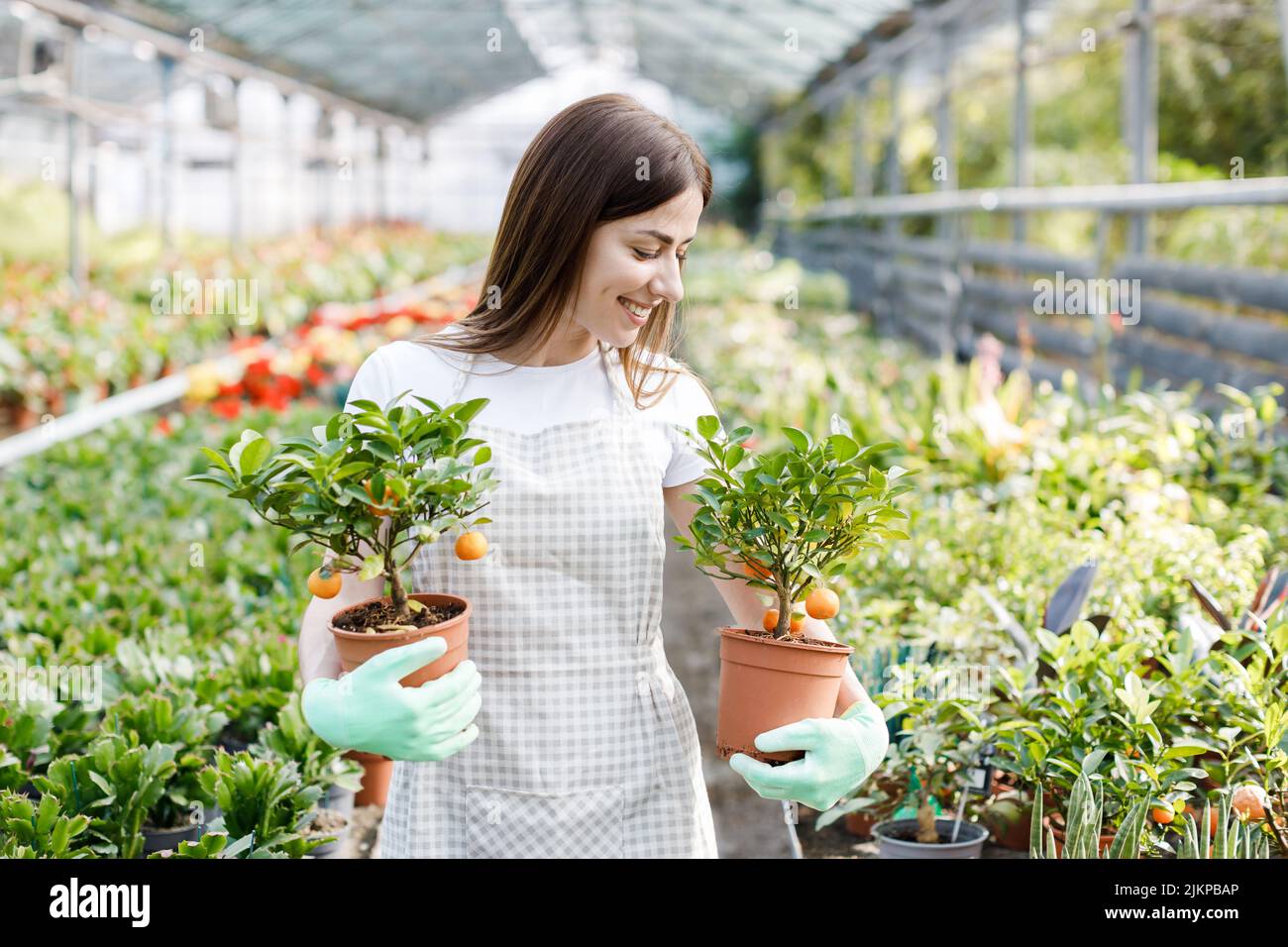 Woman holds a pot of flowers in her hands, growing plants for sale ...