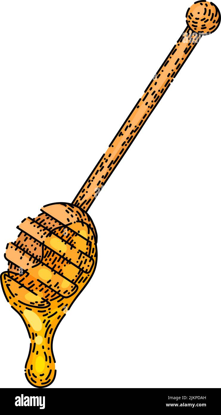 spoon honey sketch hand drawn vector Stock Vector Image & Art - Alamy