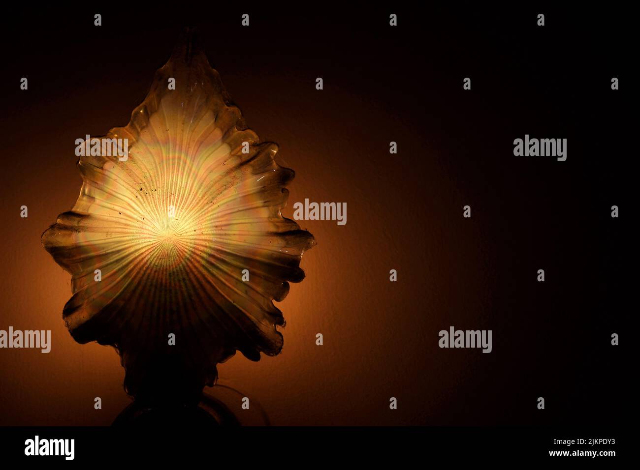 Seashell art hi-res stock photography and images - Alamy