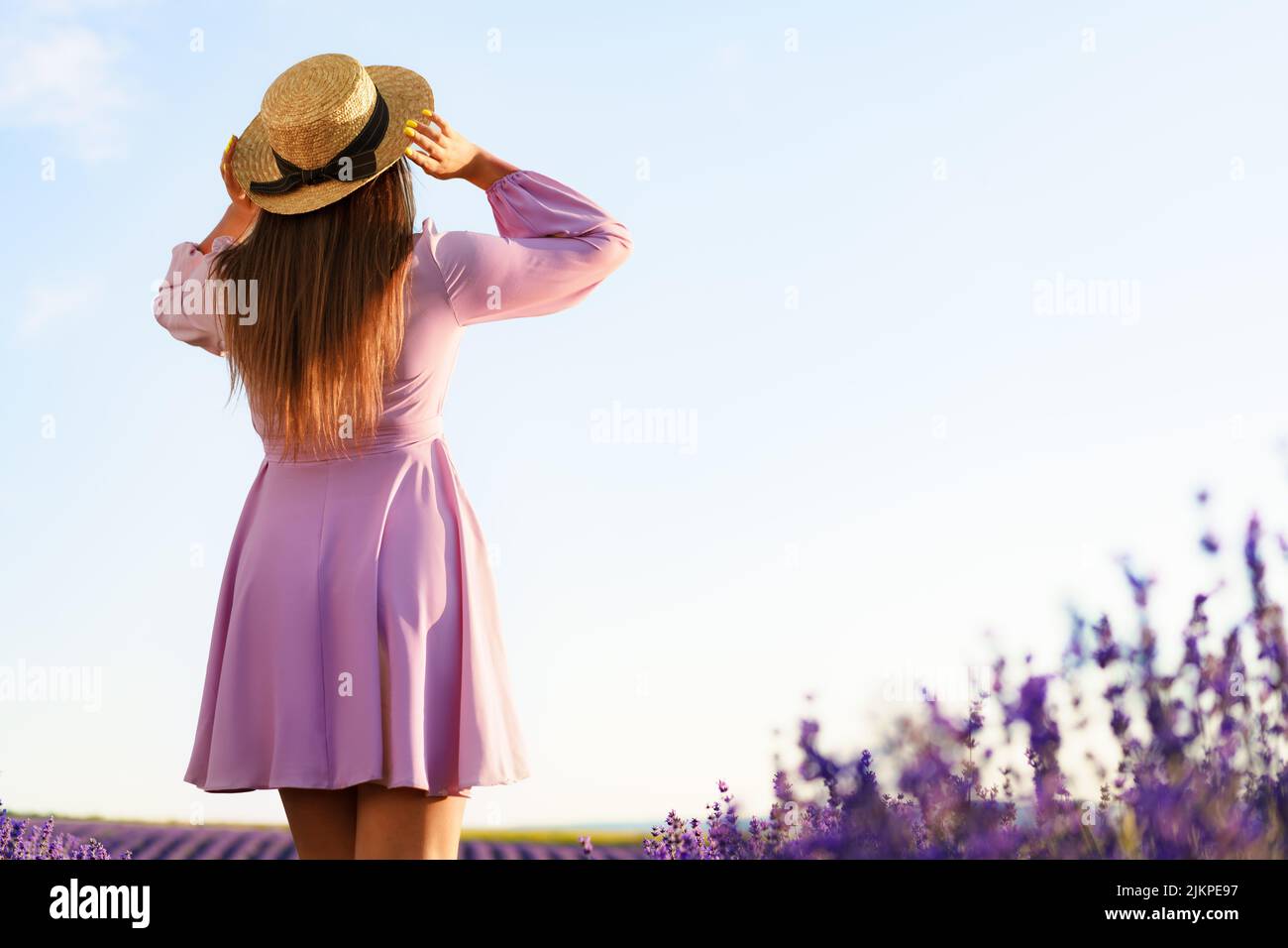 Back view of a pretty young girl in dress standing in lavender field ...