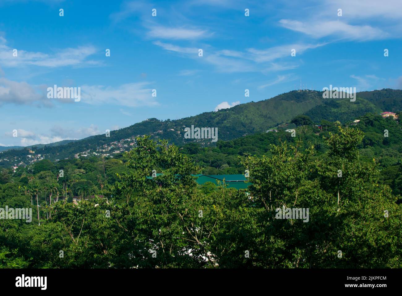 Trinidad and tobago nature hi-res stock photography and images - Alamy