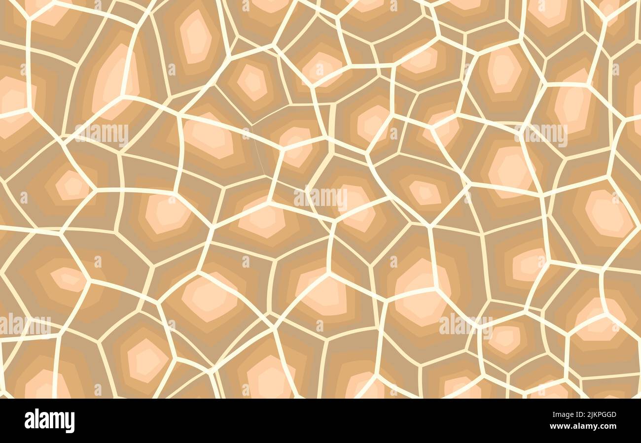 Abstract modern turtle shell seamless pattern. Animals trendy ...