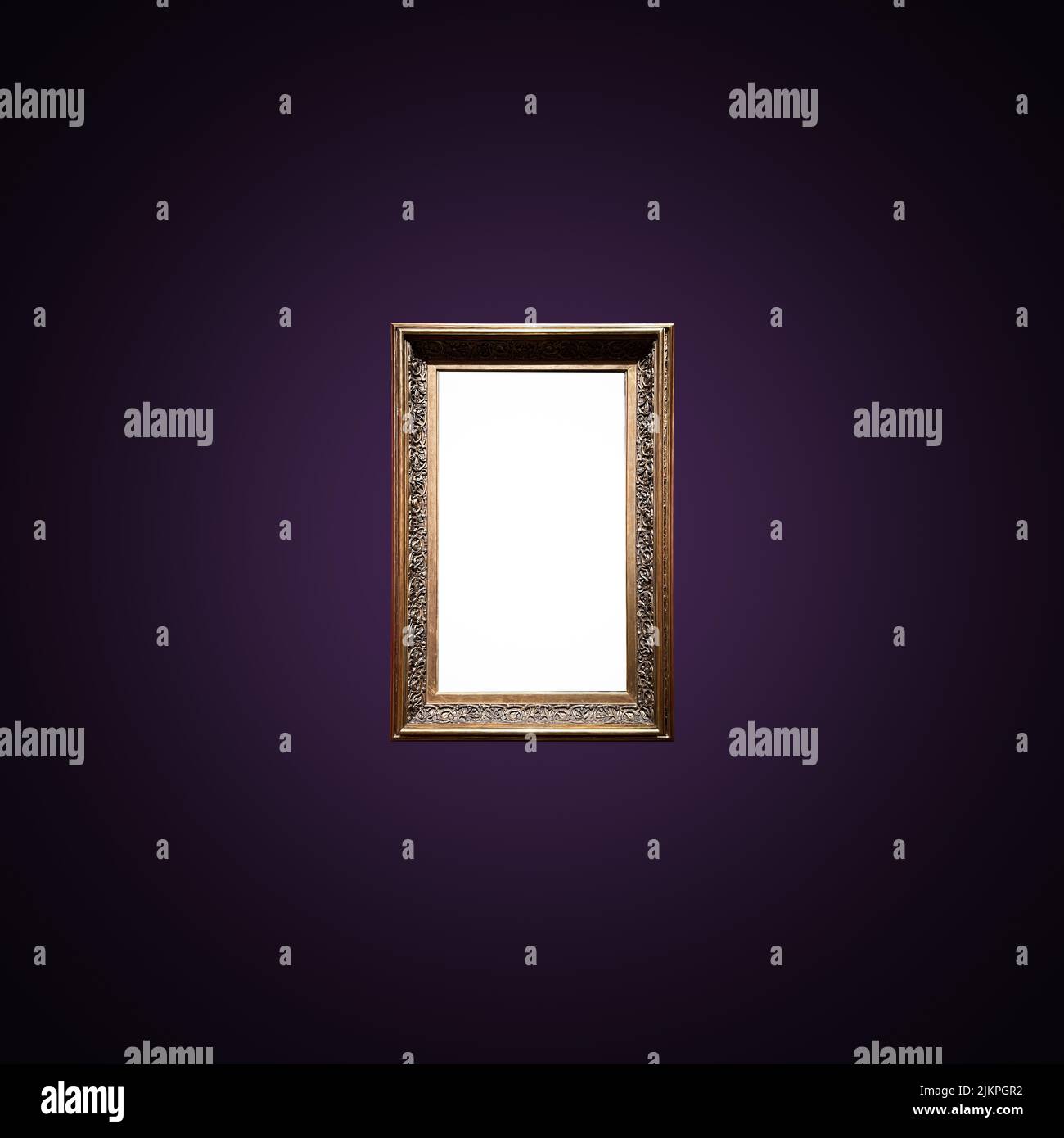 Antique art fair gallery frame on royal purple wall at auction house or ...