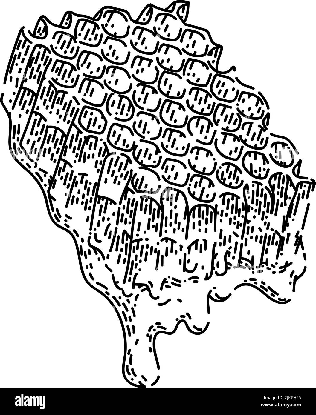 Honey pattern honeybee comb Black and White Stock Photos & Images - Alamy