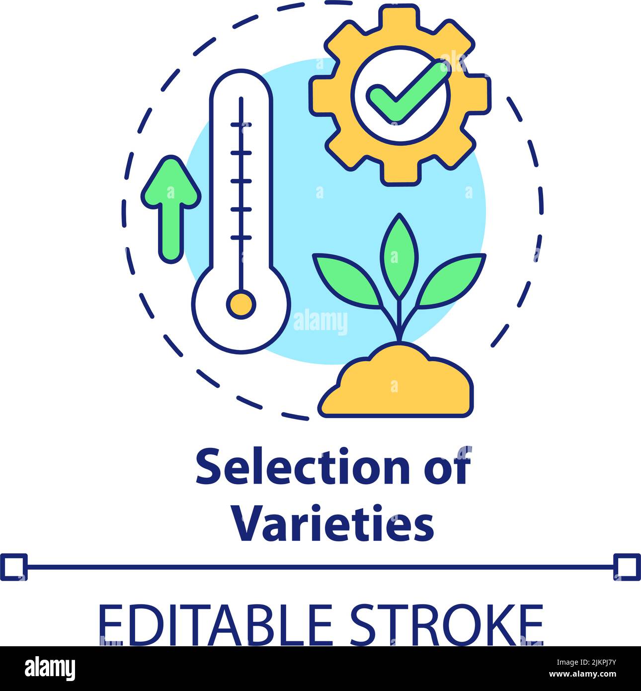 Selection of varieties concept icon Stock Vector Image & Art - Alamy