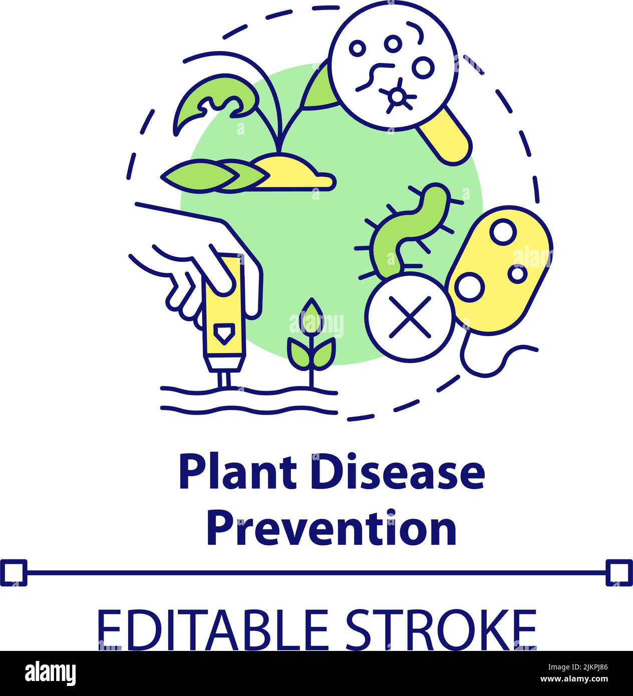 General plant Cut Out Stock Images & Pictures - Alamy