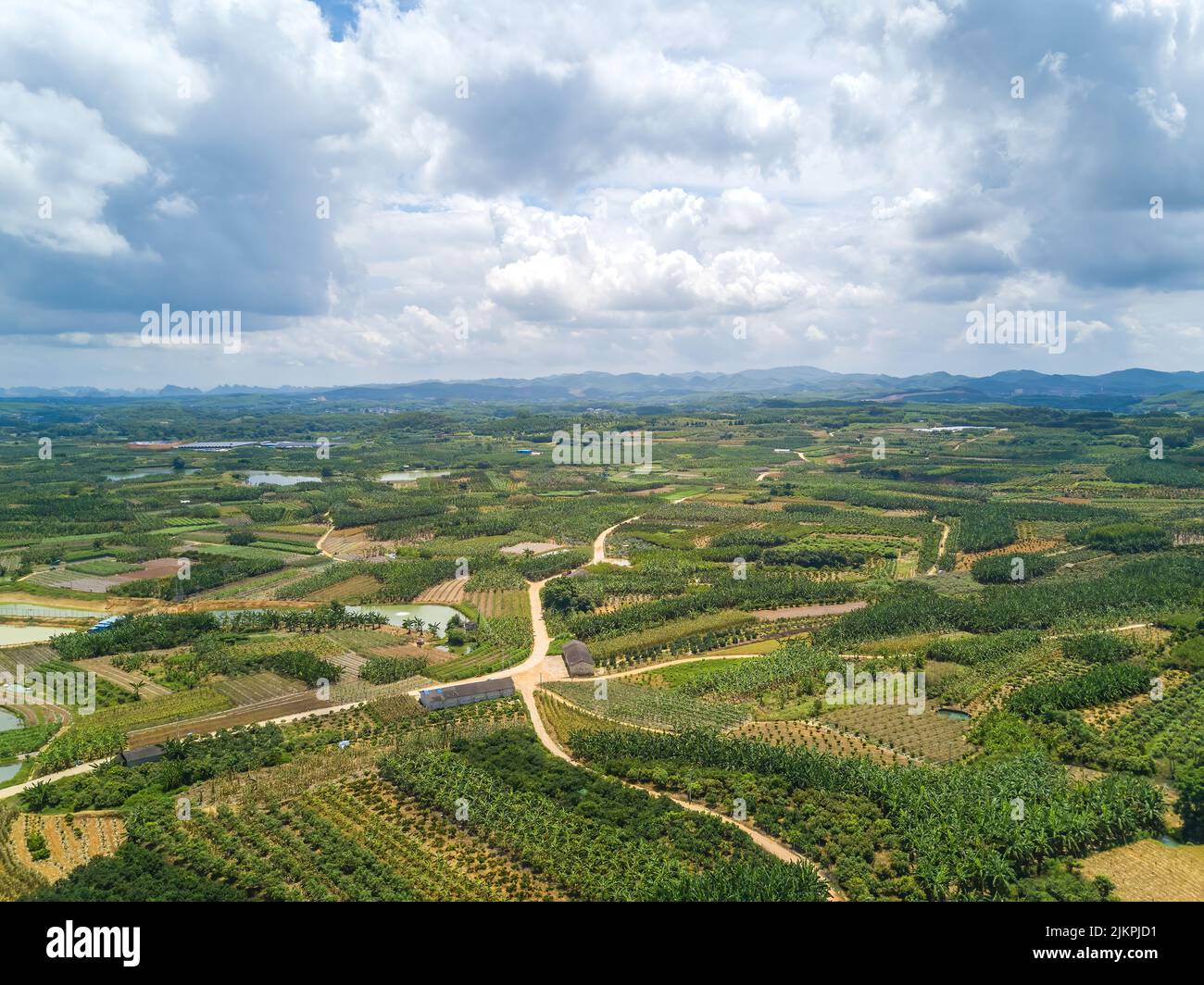 Aerial photography of wild field plants and blue sky and white clouds ...