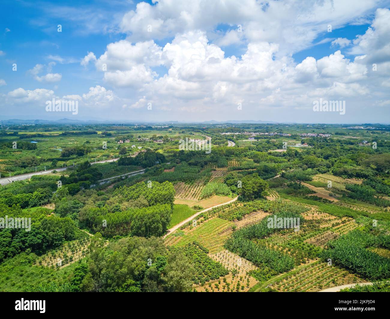 Aerial photography of wild field plants and blue sky and white clouds ...