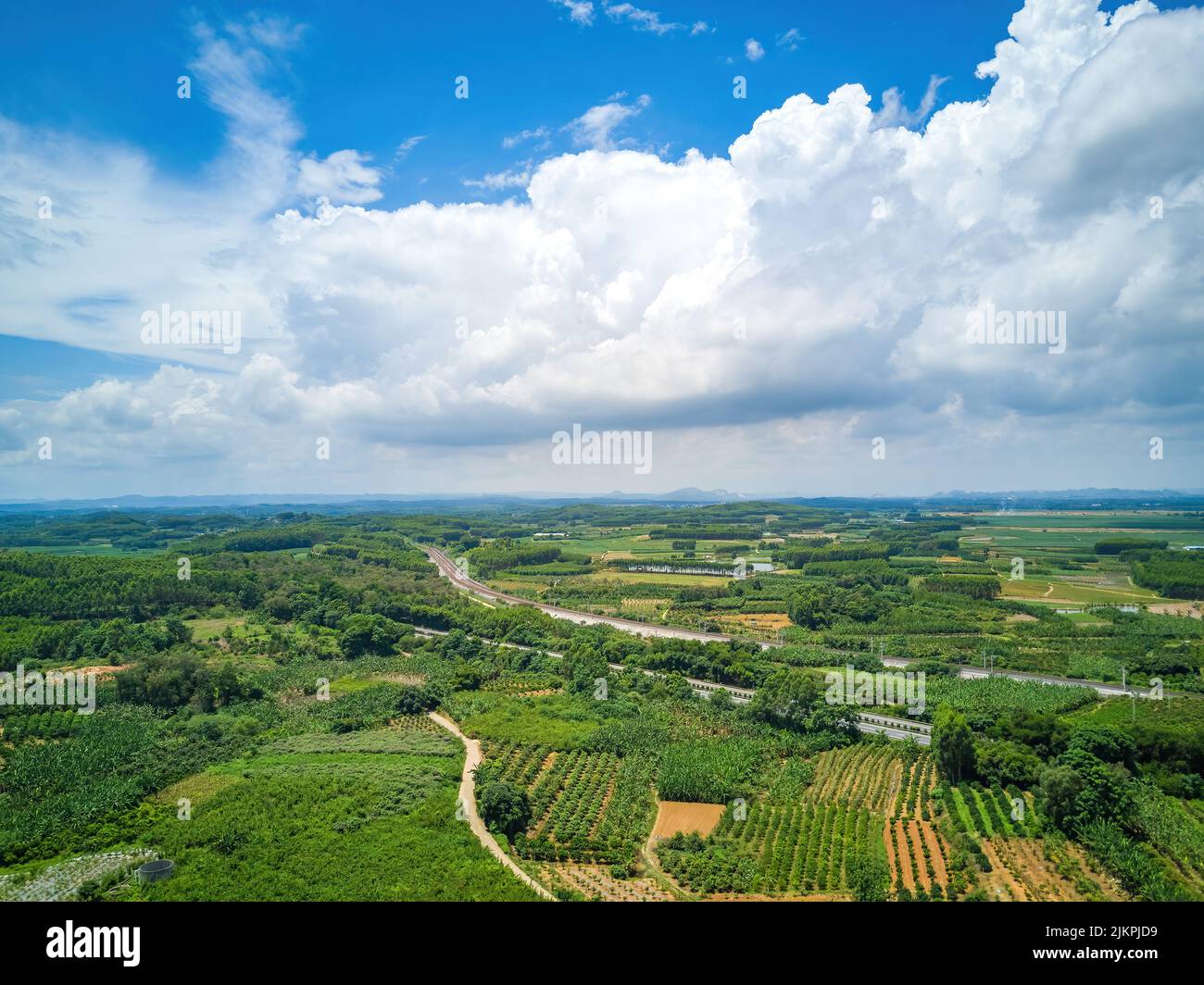 Aerial photography of wild field plants and blue sky and white clouds ...