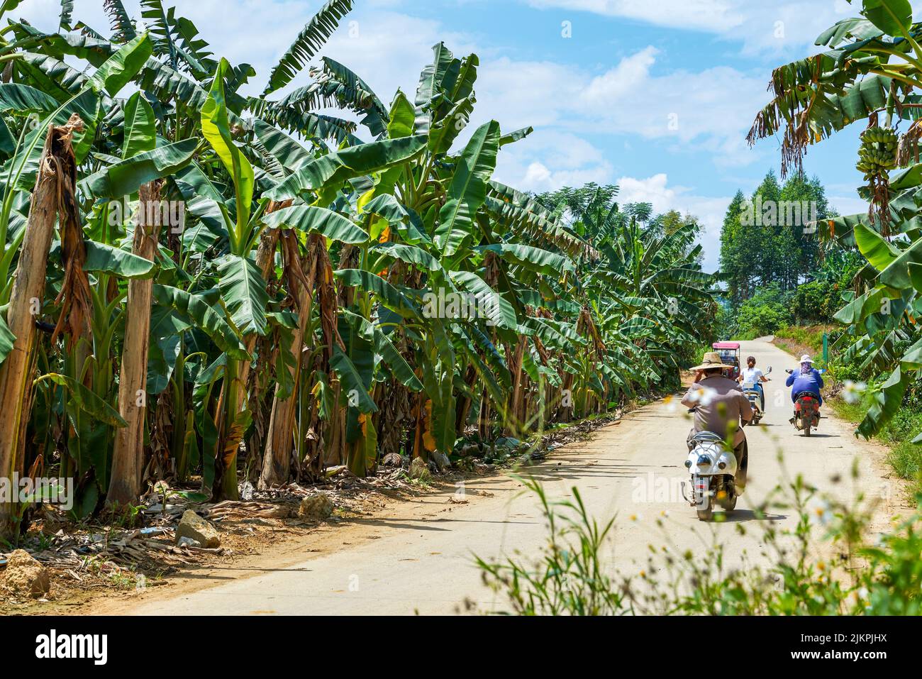 Farmer freeway hi-res stock photography and images - Alamy