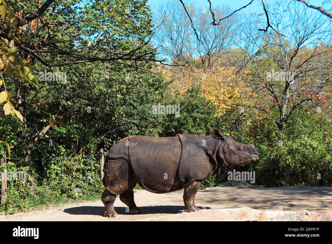 Cincinnati zoo hi-res stock photography and images - Alamy