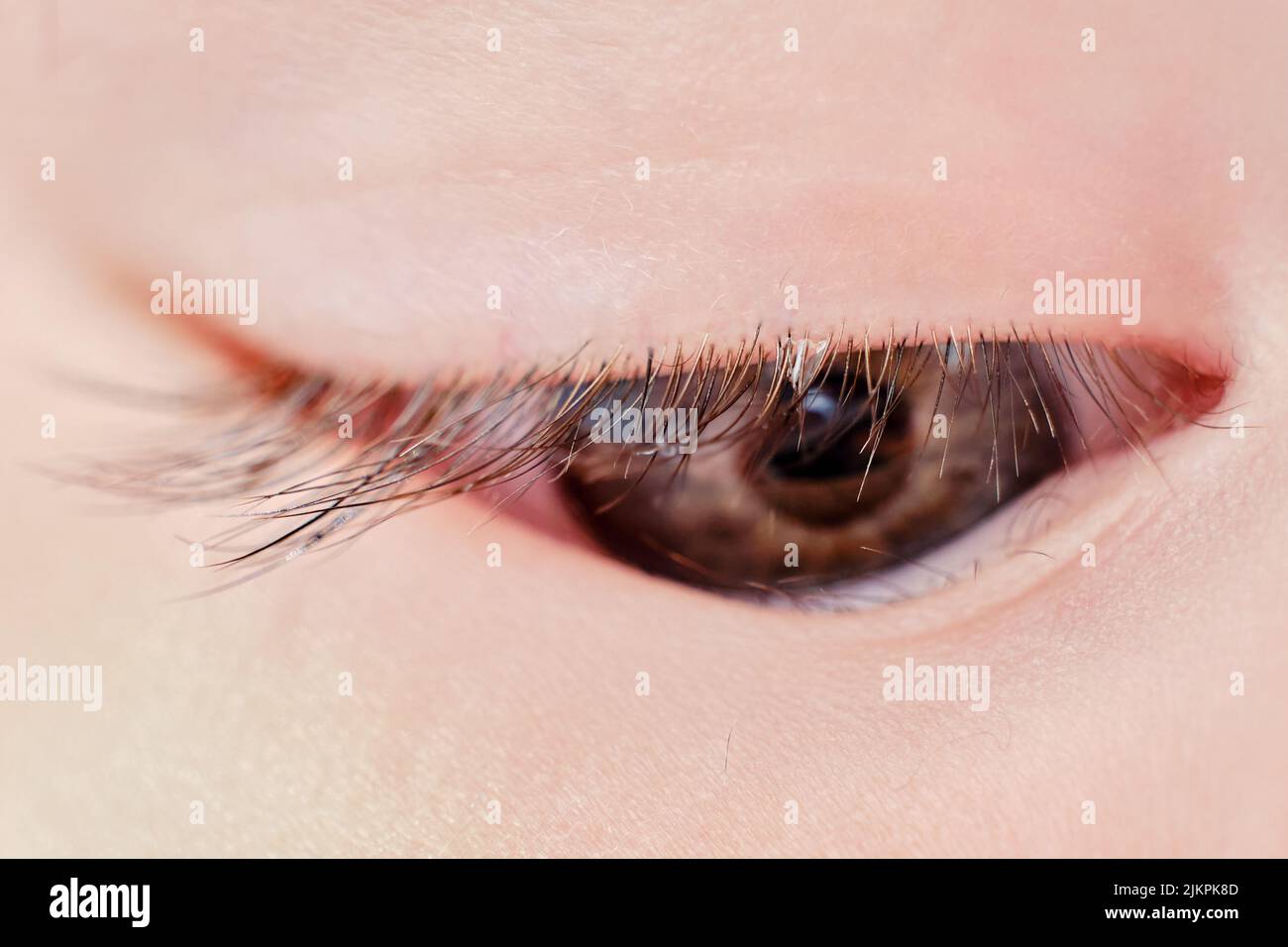 Close-up of baby eye and eyelashes age one year, macro photo of the ...