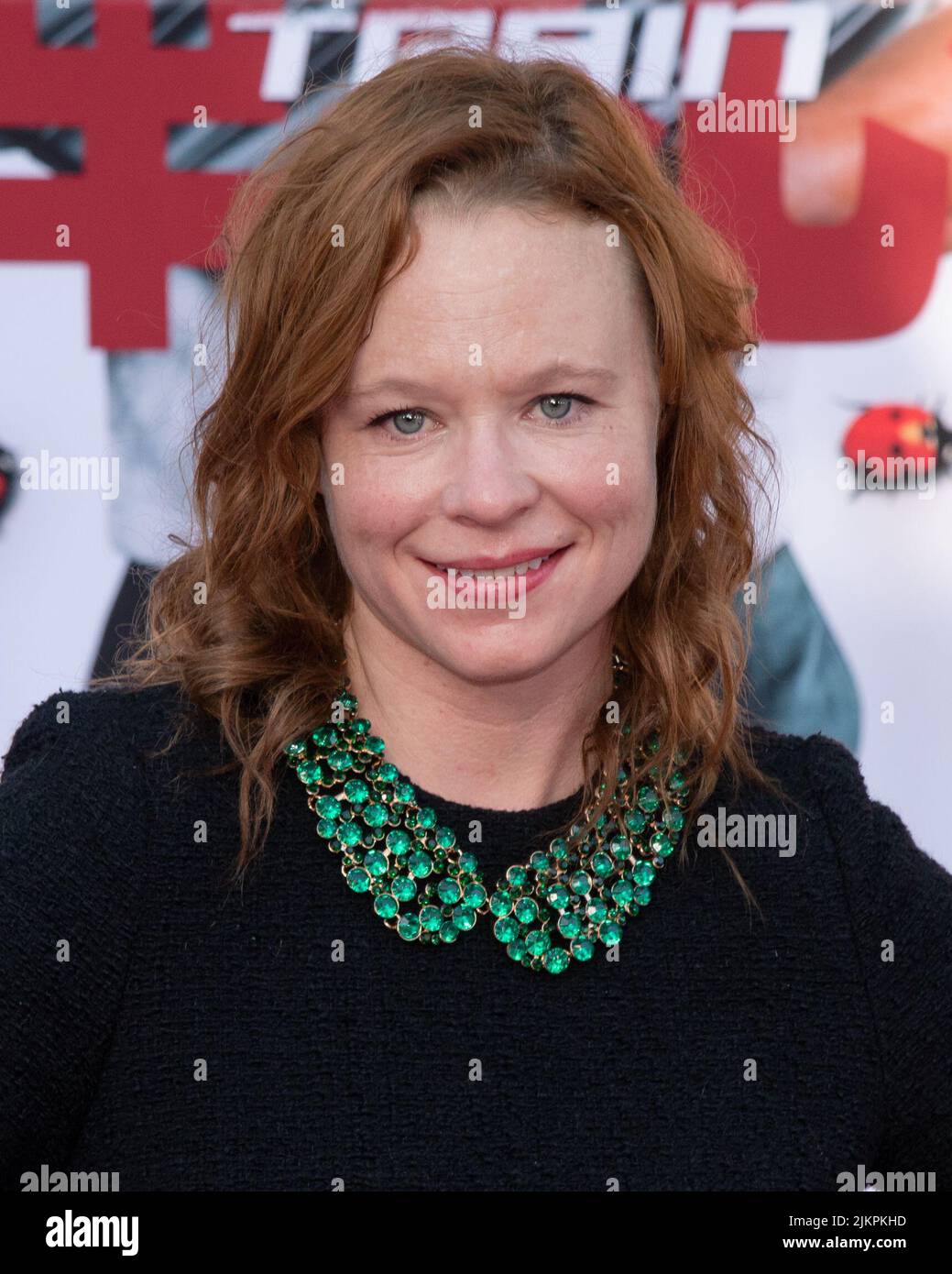 Thora birch train hi-res stock photography and images - Alamy