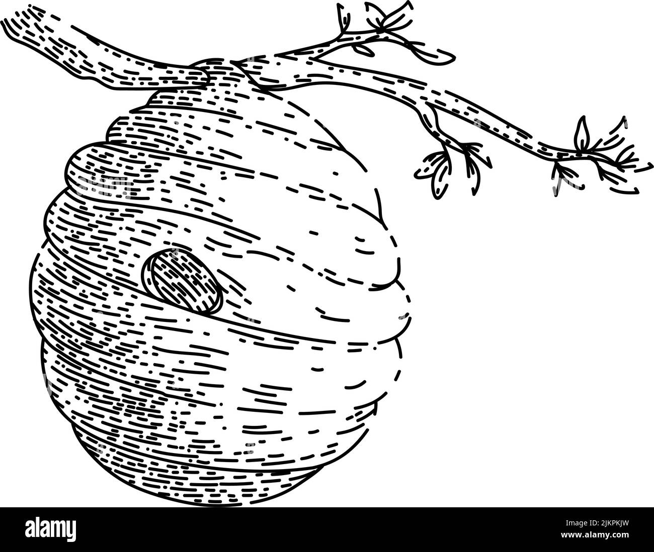 beehive sketch hand drawn vector Stock Vector Image & Art - Alamy beehive sketch hand drawn vector Stock Vector Image & Art - Alamy