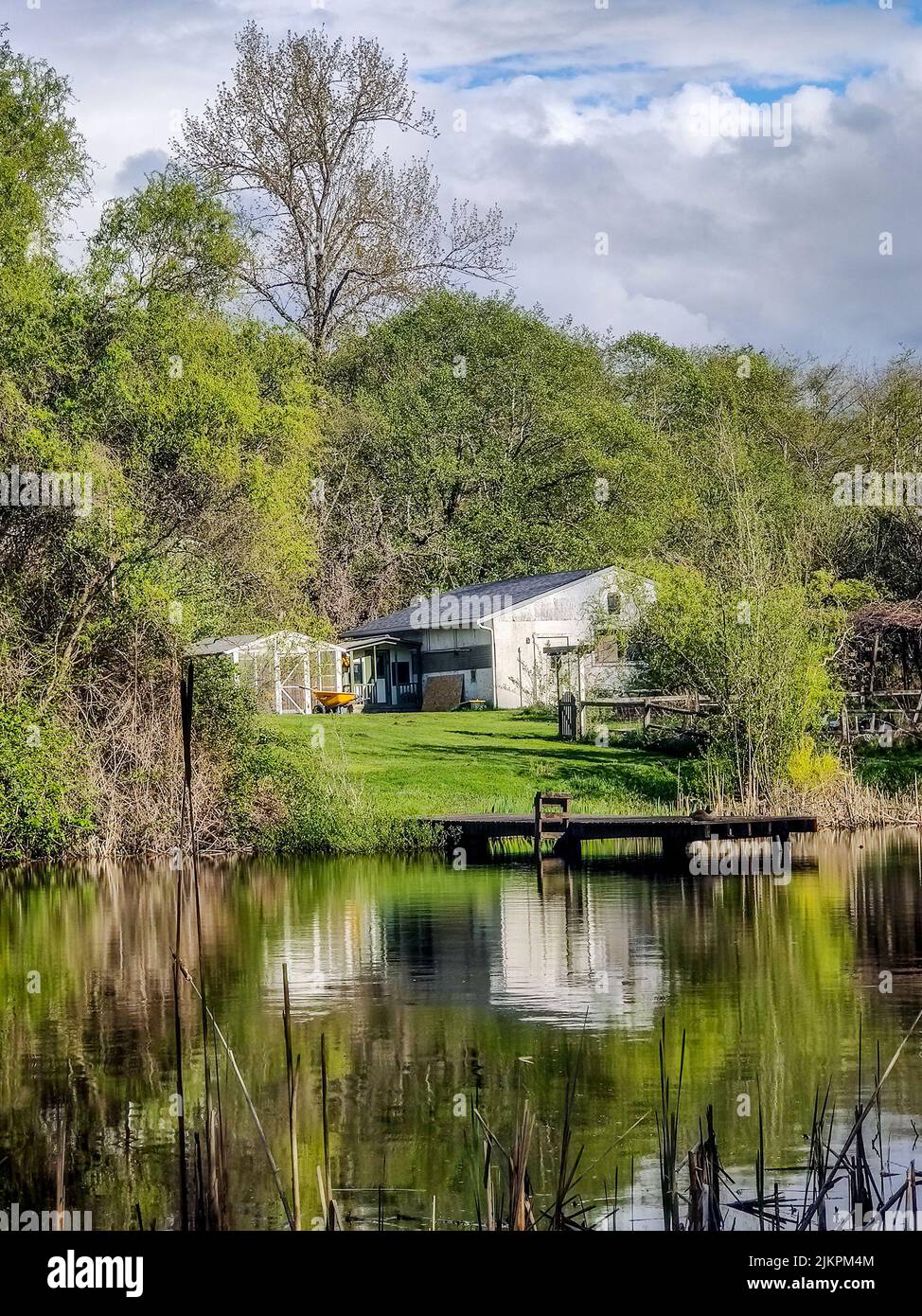 Forest Within A Mansion On A Pond