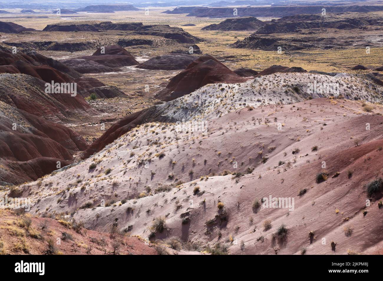 A dry landscape of shrubs and badlands in a desert on a sunny day Stock ...