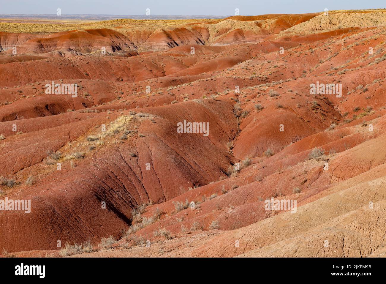 A landscape view of red dry badlands in a desert under the sunlight ...