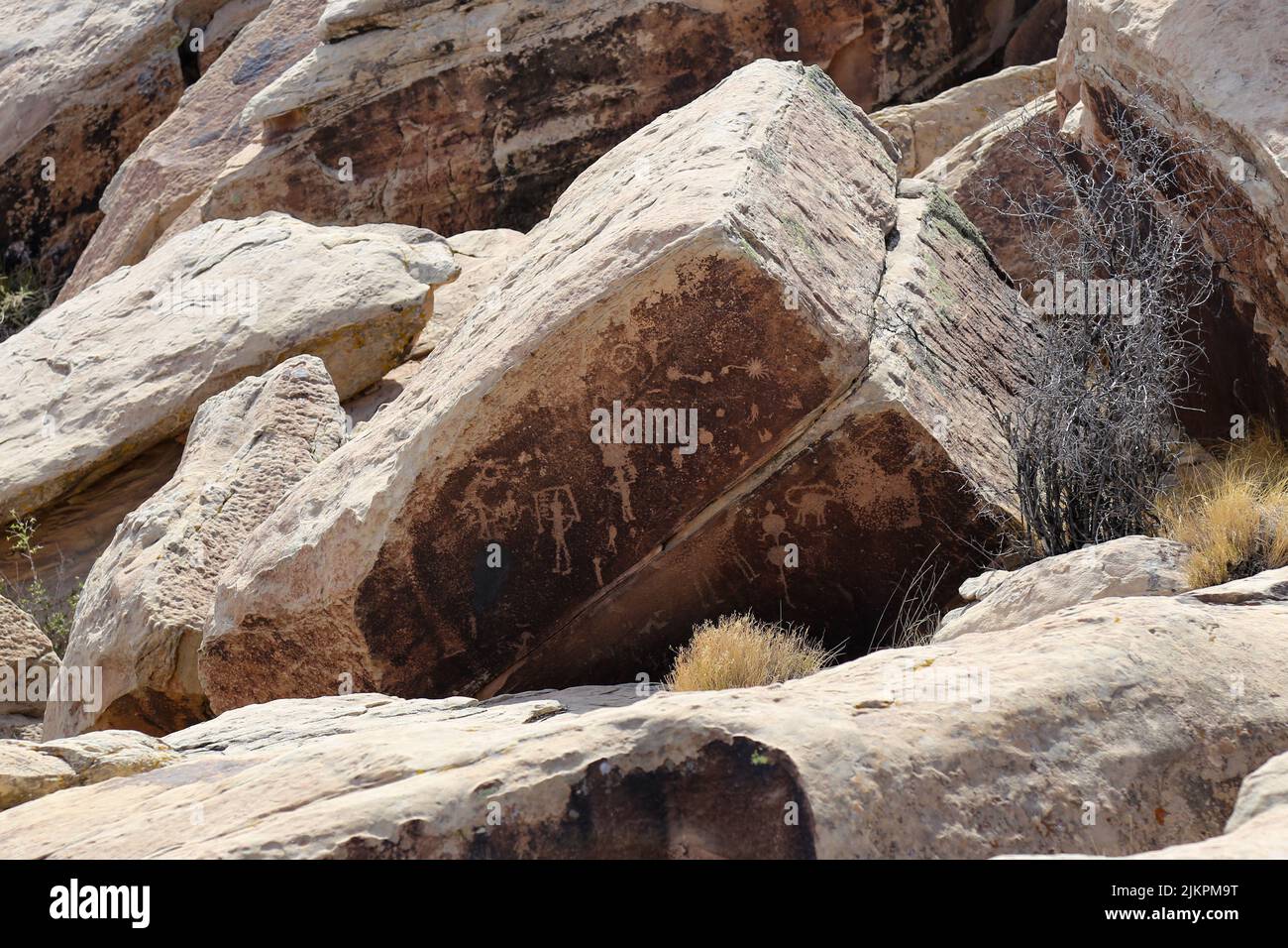 Ancient petroglyphs on the rocks carved by Puebloans in Petrified ...