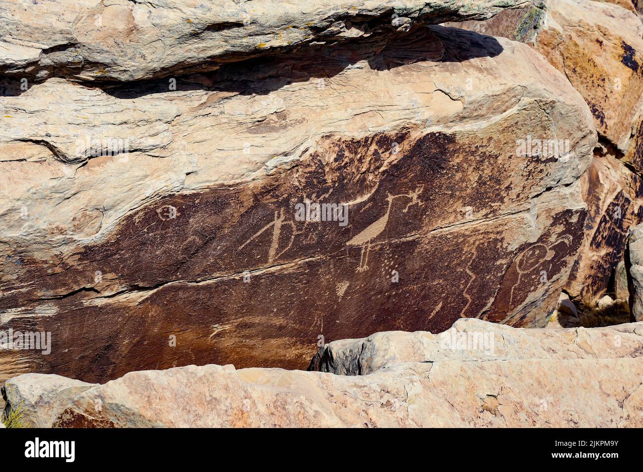 Ancient petroglyphs under the sunlight carved by Puebloans in Petrified ...