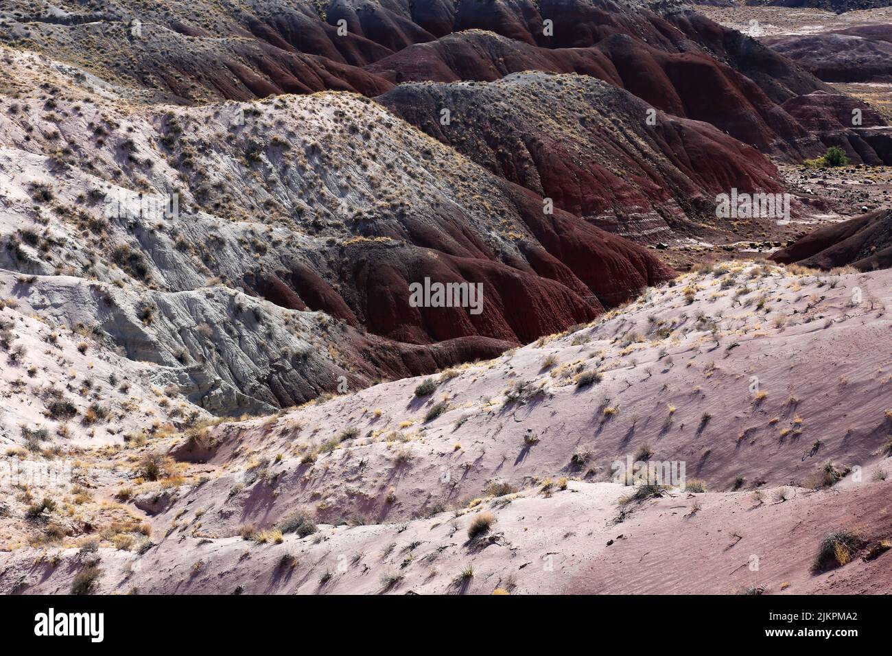 Desert landscape with shrubs hi-res stock photography and images - Alamy