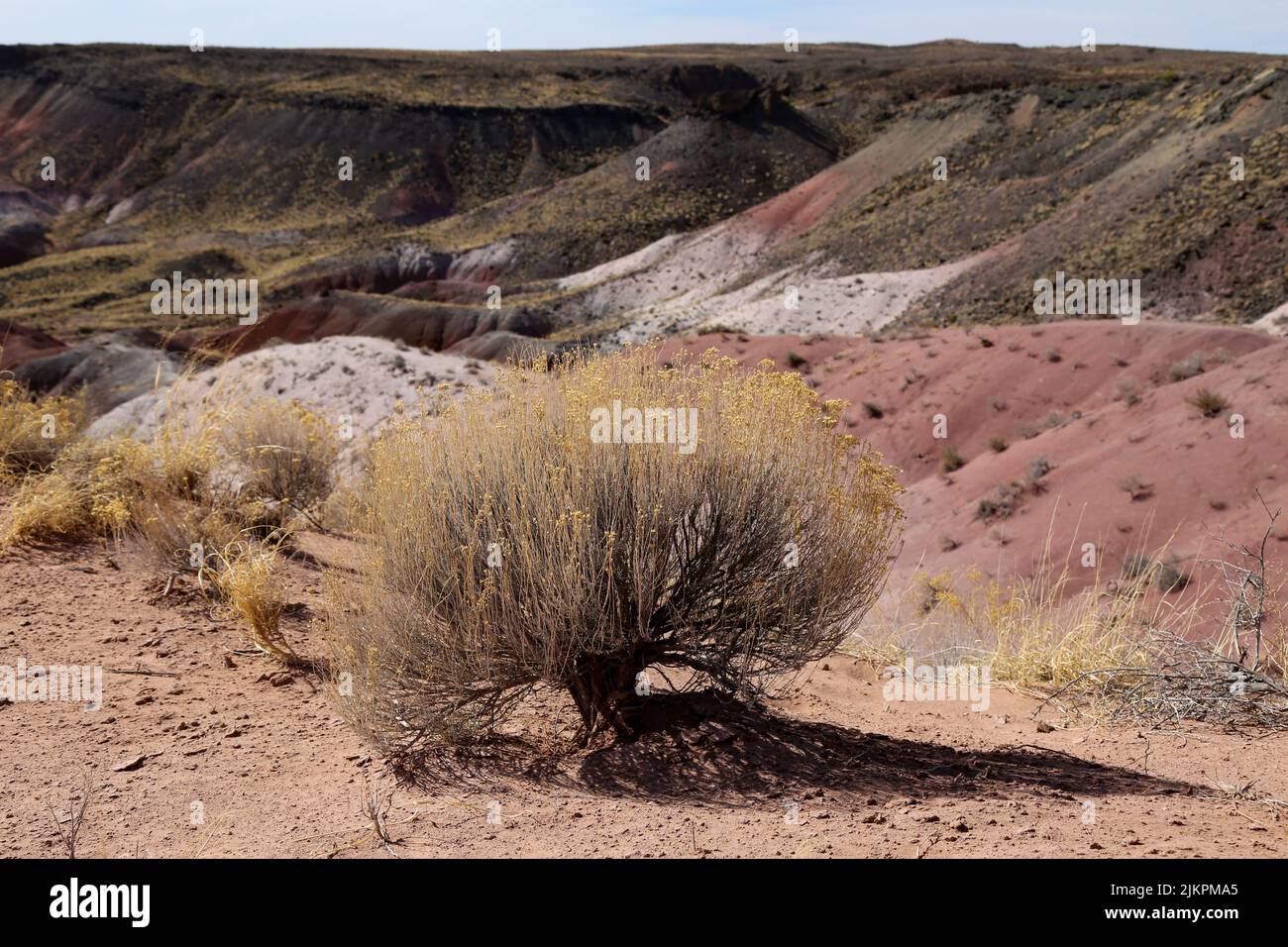 A dry landscape of shrubs and badlands in a desert on a sunny day Stock ...