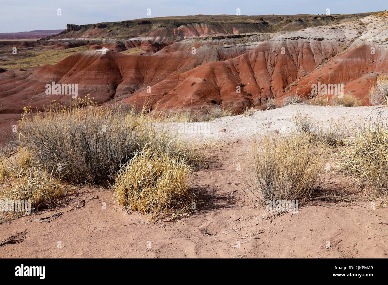 A dry landscape of shrubs and badlands in a desert on a sunny day Stock ...