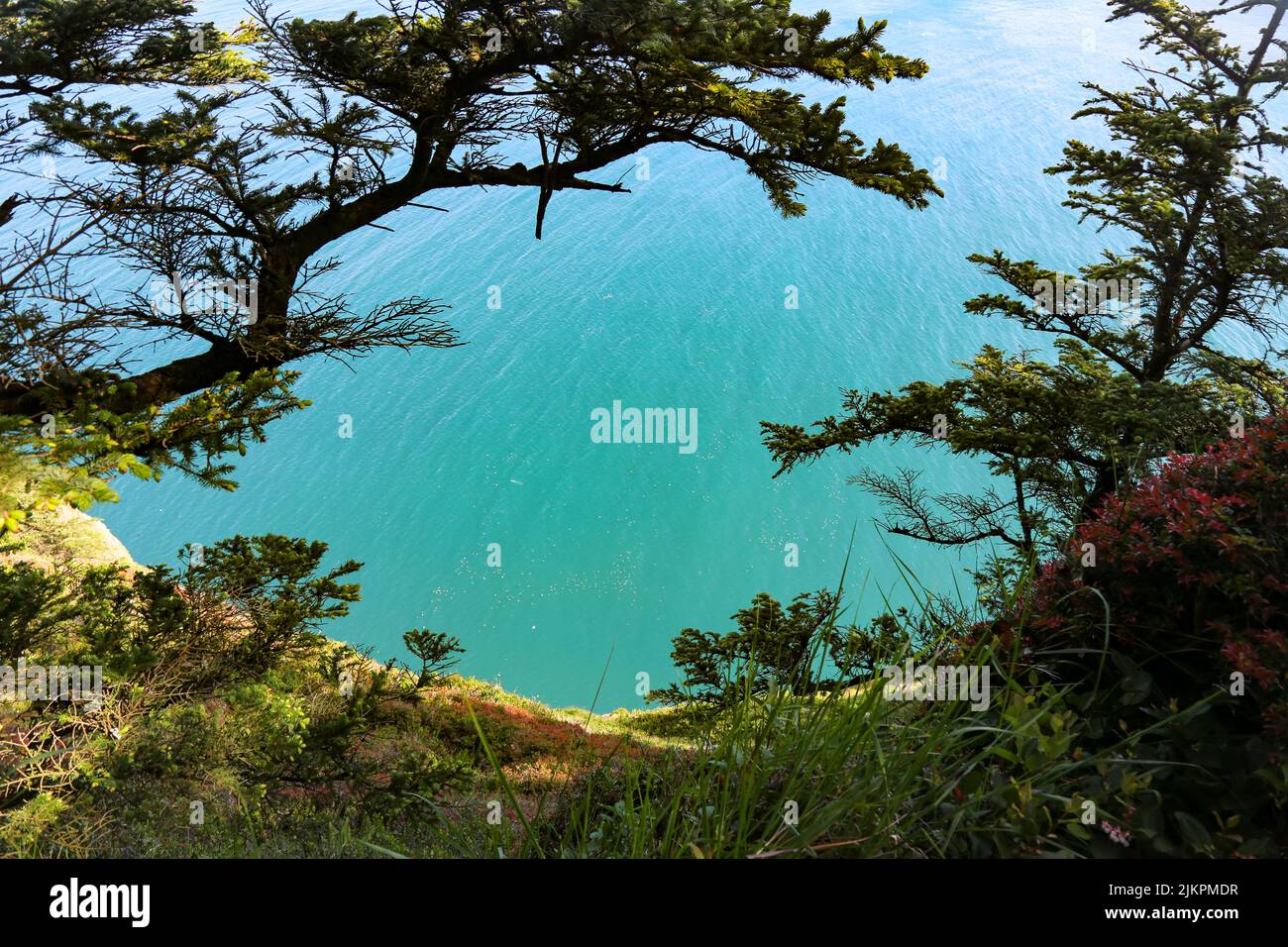 Seashore with trees hi-res stock photography and images - Alamy