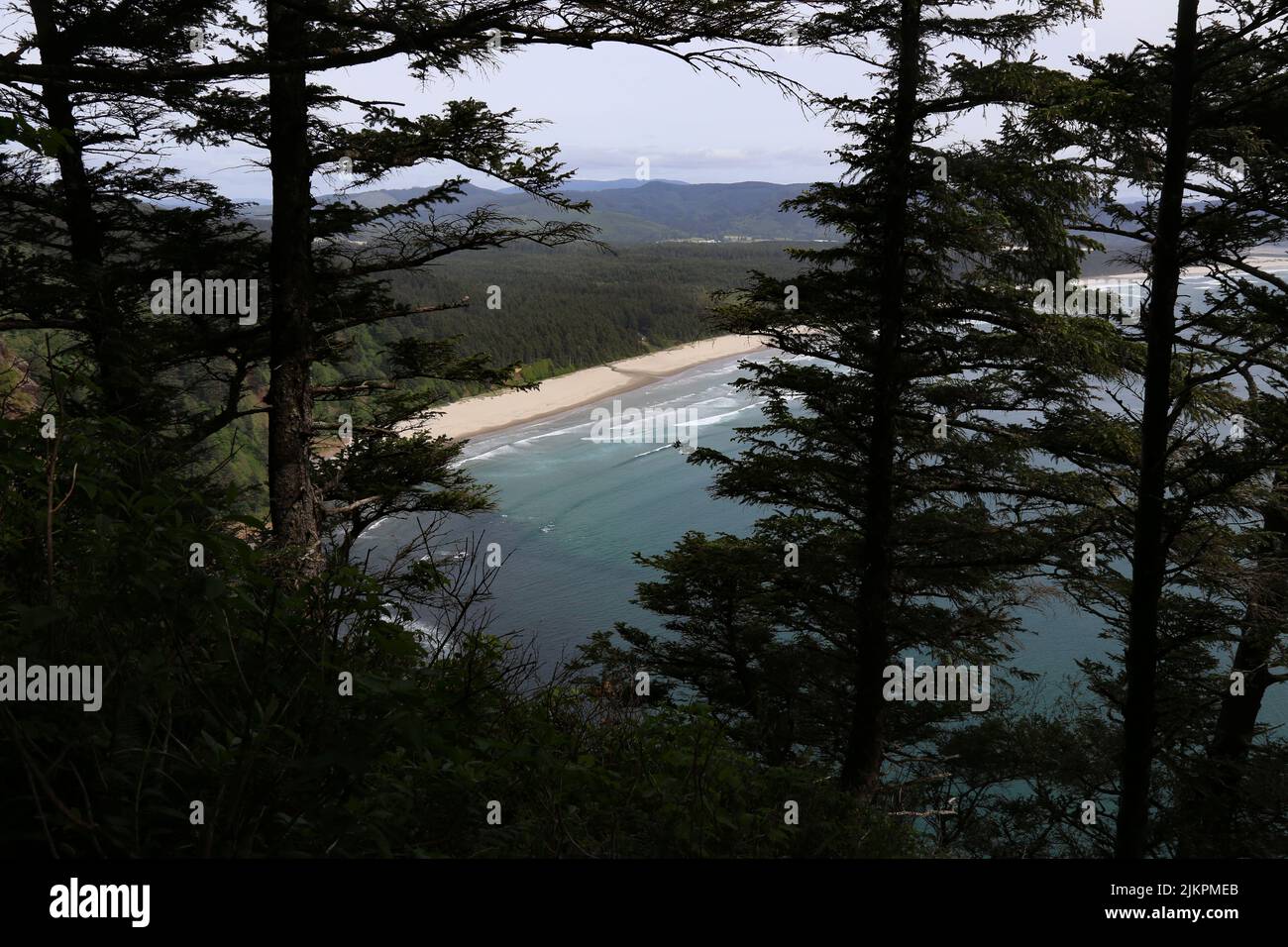 Beautiful scenic view pine hi-res stock photography and images - Alamy