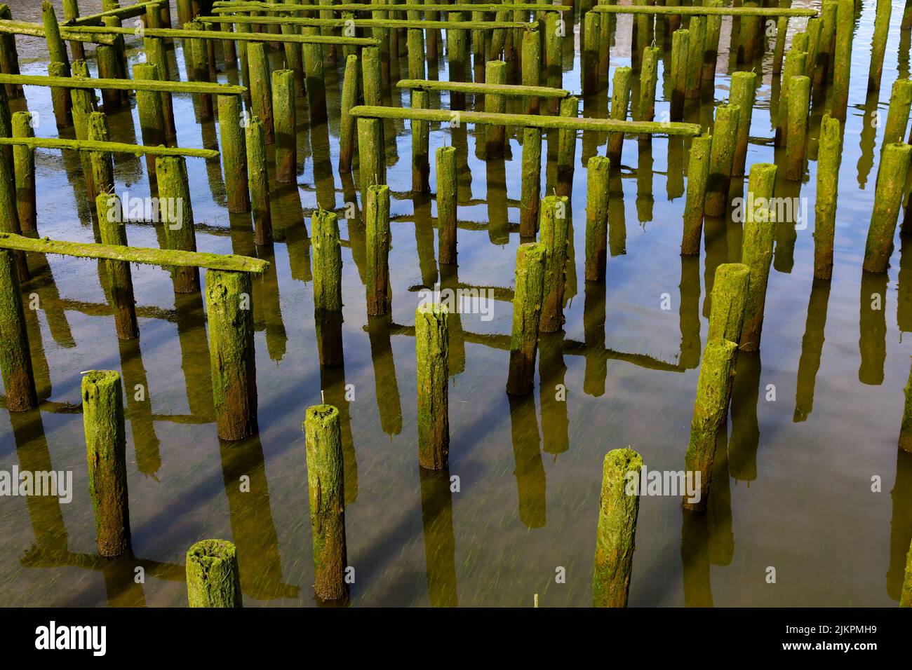Pilings in the water hi-res stock photography and images - Alamy