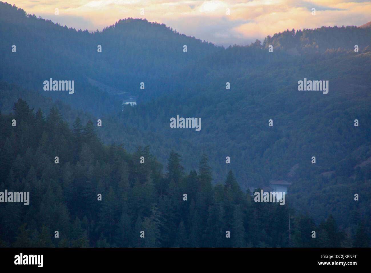 A beautiful view of dense forest under a cloudy sky Stock Photo - Alamy