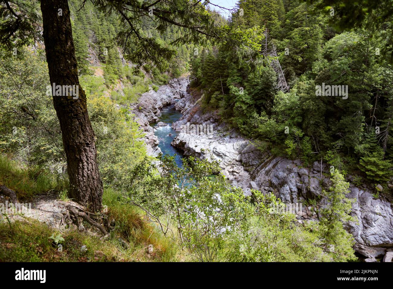 An aerial view of a stream flowing through rocks and lush green ...