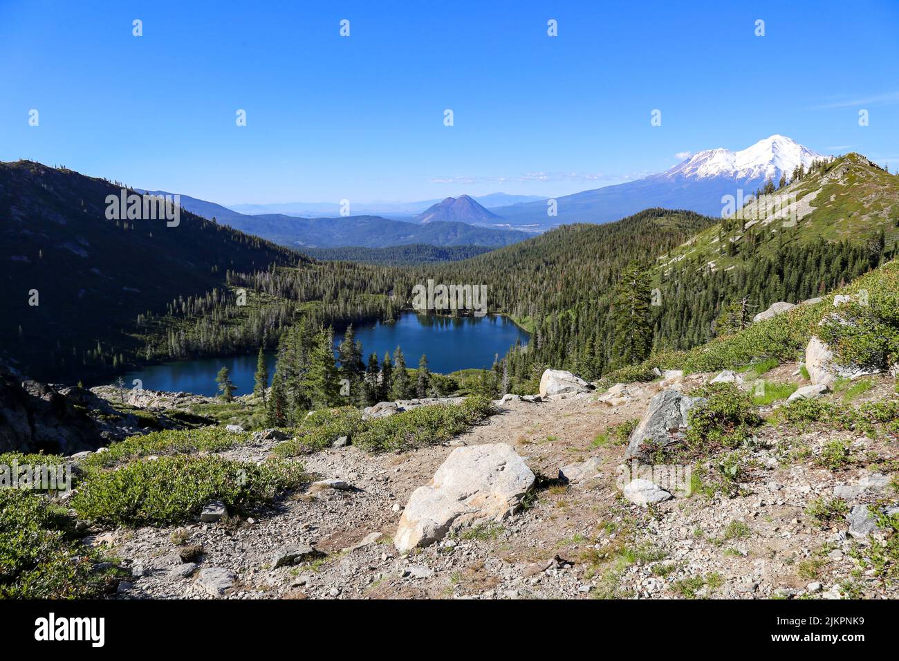 A beautiful view of a calm lake surrounded by trees Stock Photo - Alamy