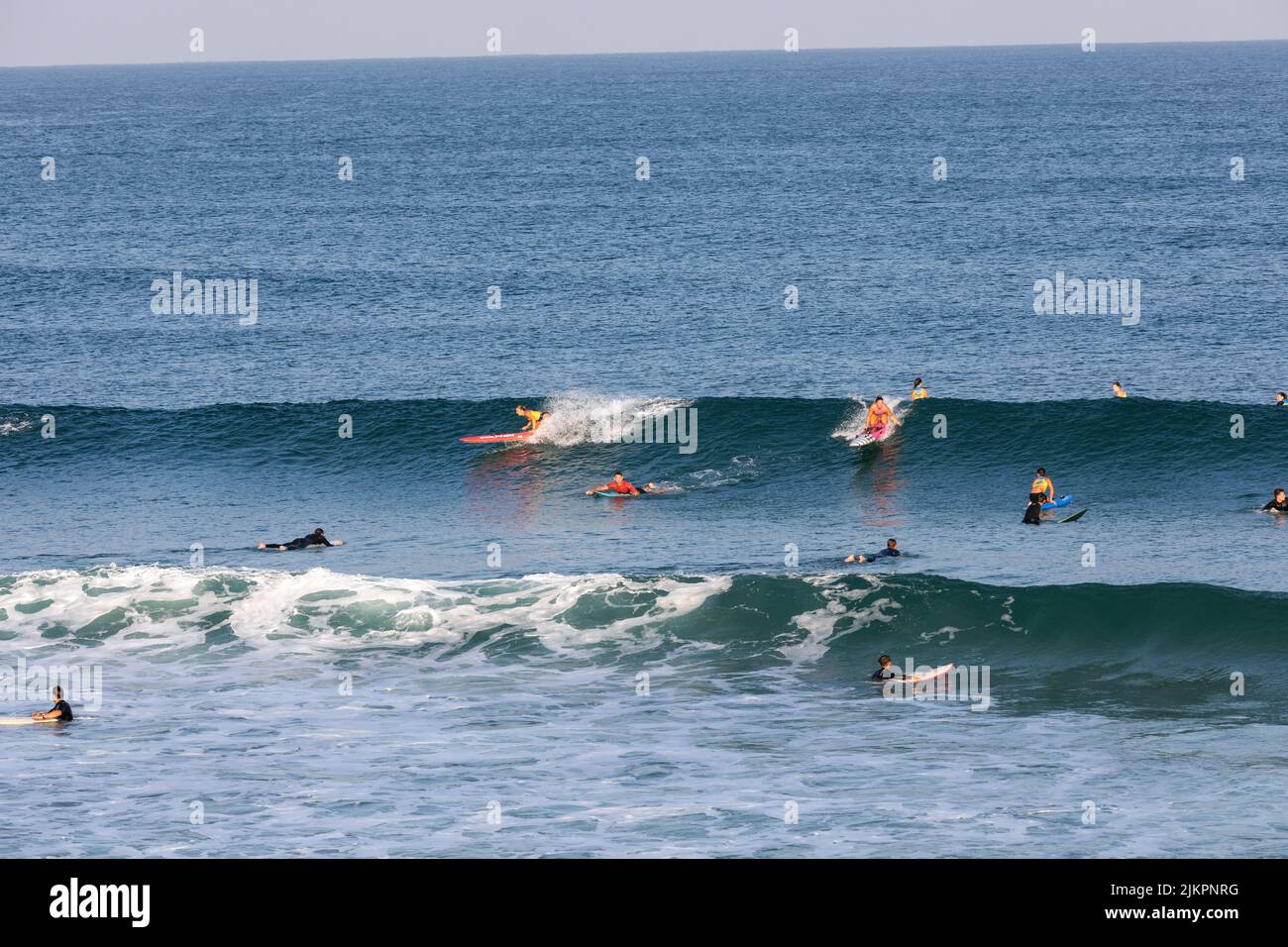 Lifeguards in the water on their boards Stock Photo - Alamy