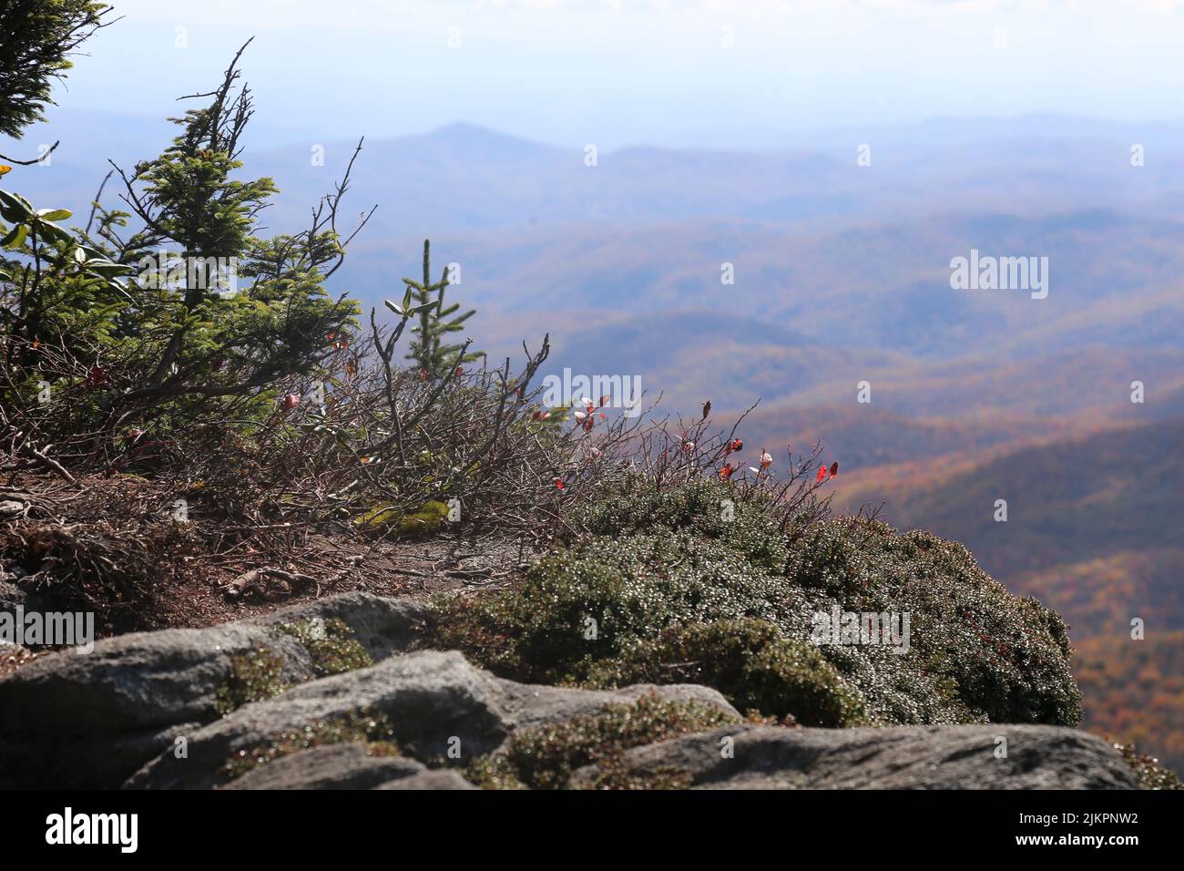 Plants for rocky hill hi-res stock photography and images - Alamy