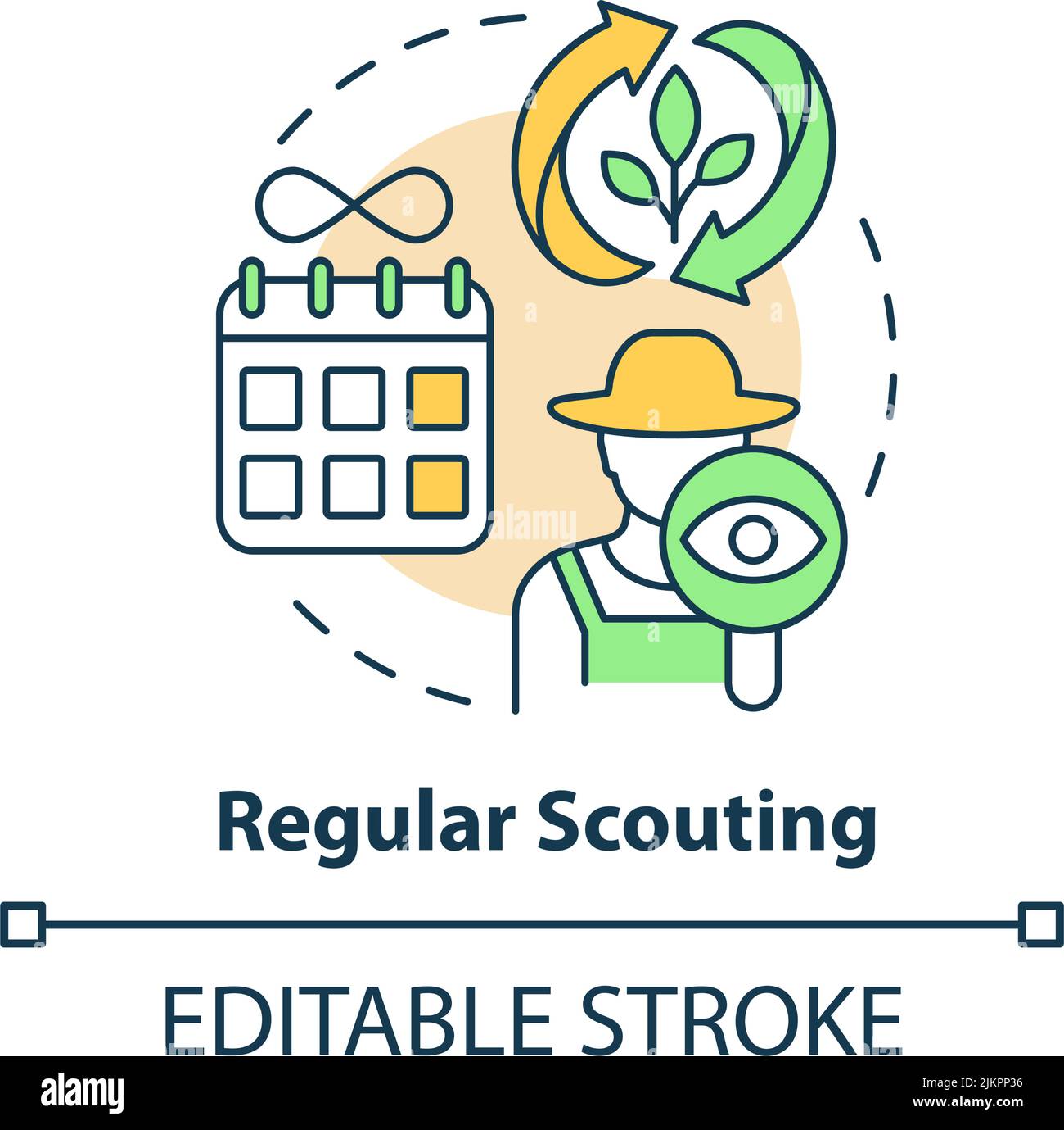 Regular scouting concept icon Stock Vector Image & Art - Alamy