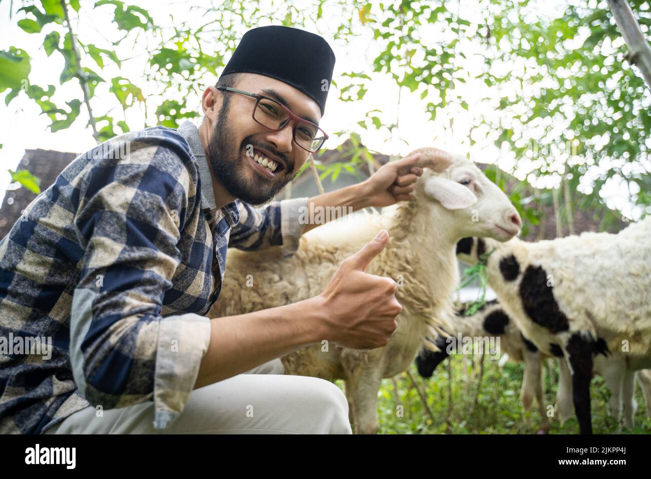 man farmer and seller of goat and cow checking his goat Stock Photo - Alamy