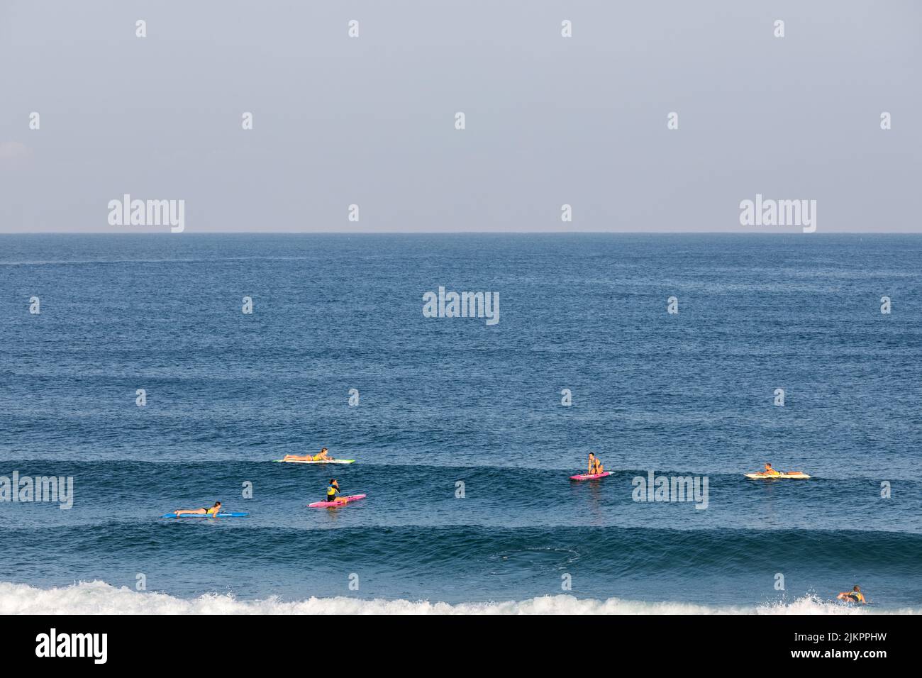 Lifeguards in the water on their boards Stock Photo - Alamy