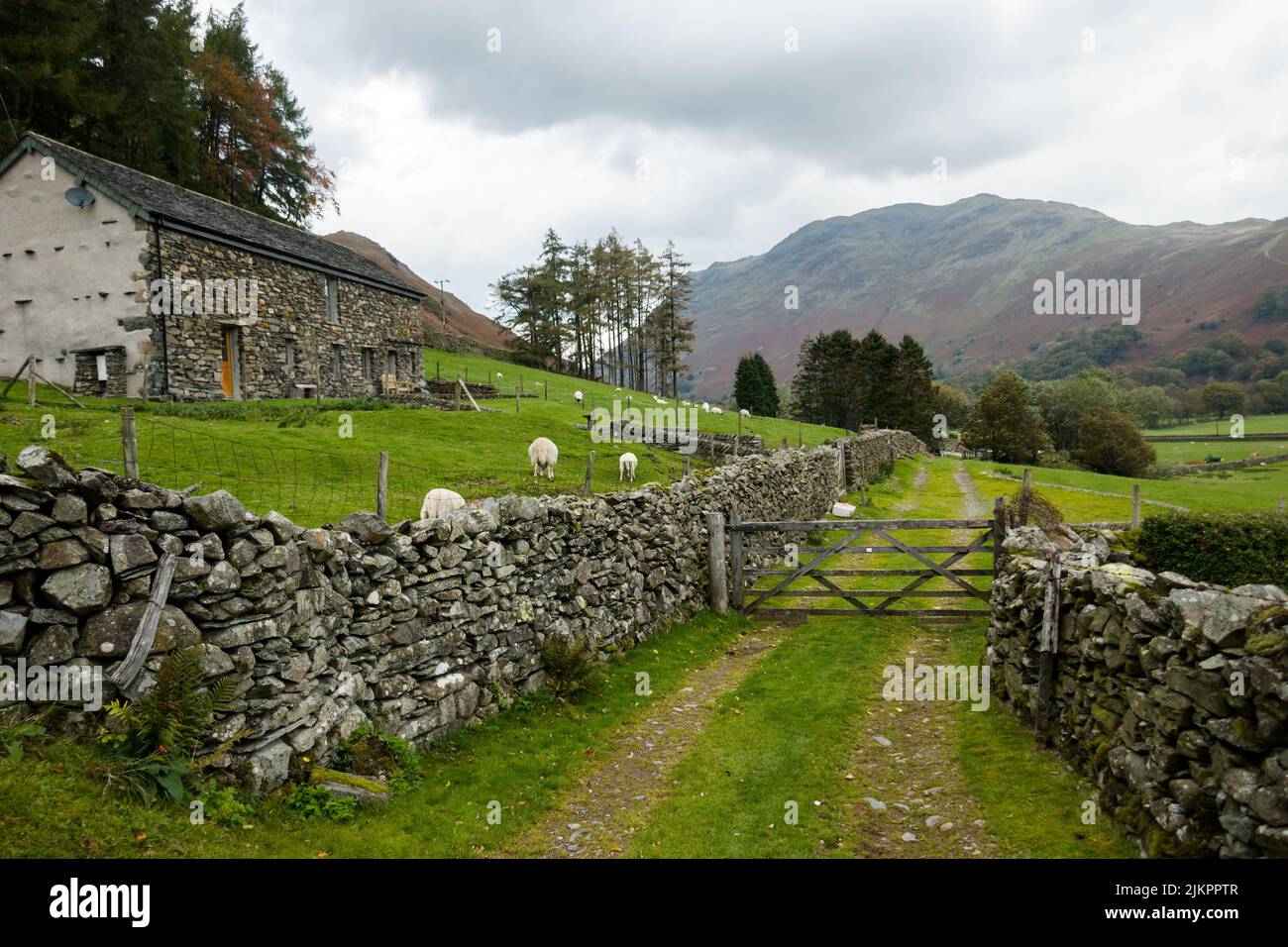 A path bordered by dry stone walls and a farm gate with mountains in ...