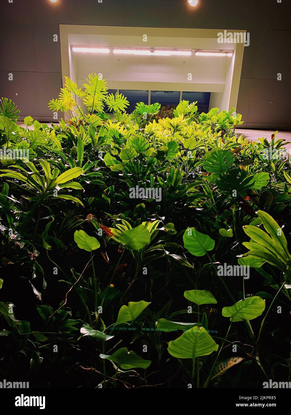 The living wall is located in the three-story atrium of Richcraft Hall ...