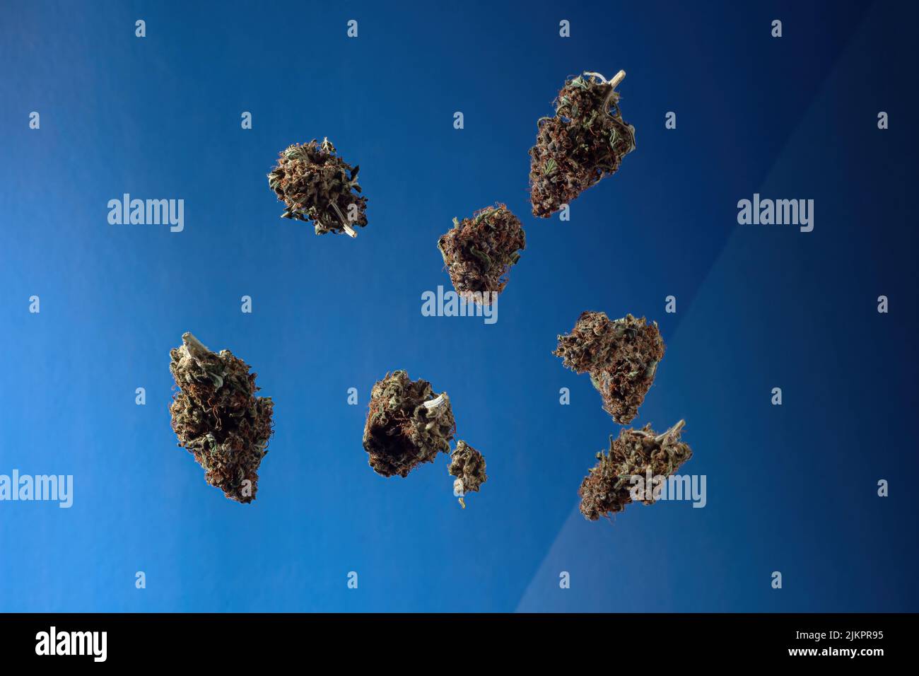 Dark blue buds hi-res stock photography and images - Alamy