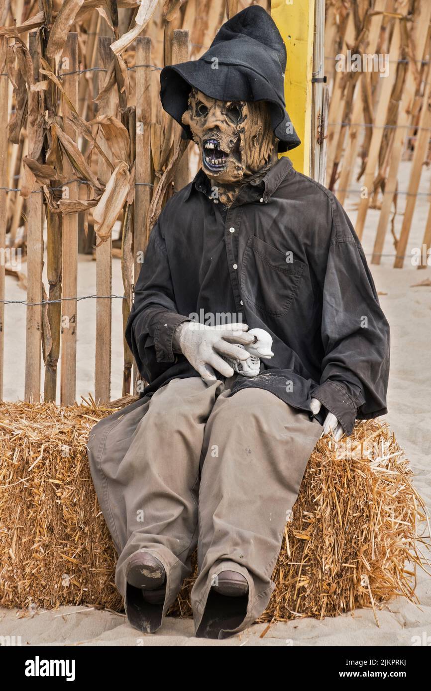 A Zombie sits in a haunted beache maze in Ocean City ,Maryland Stock ...