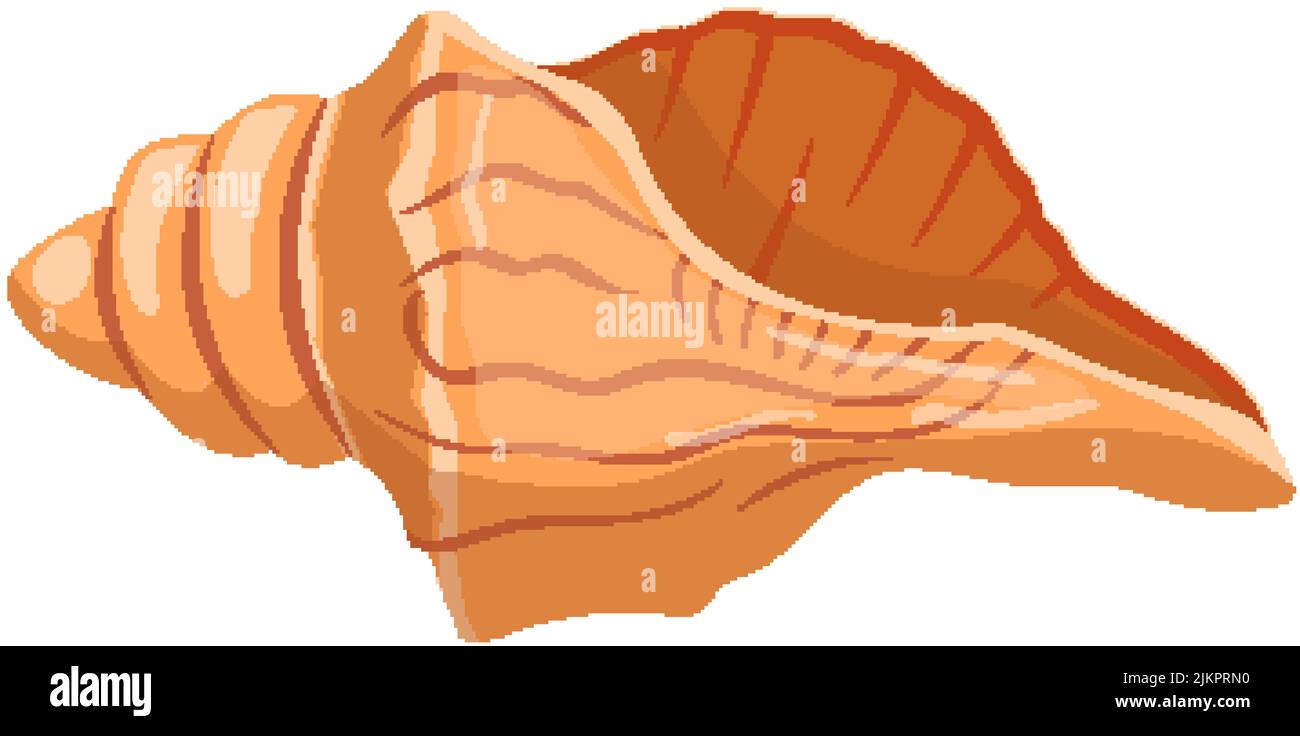 shell sea cartoon vector Stock Vector Image & Art - Alamy